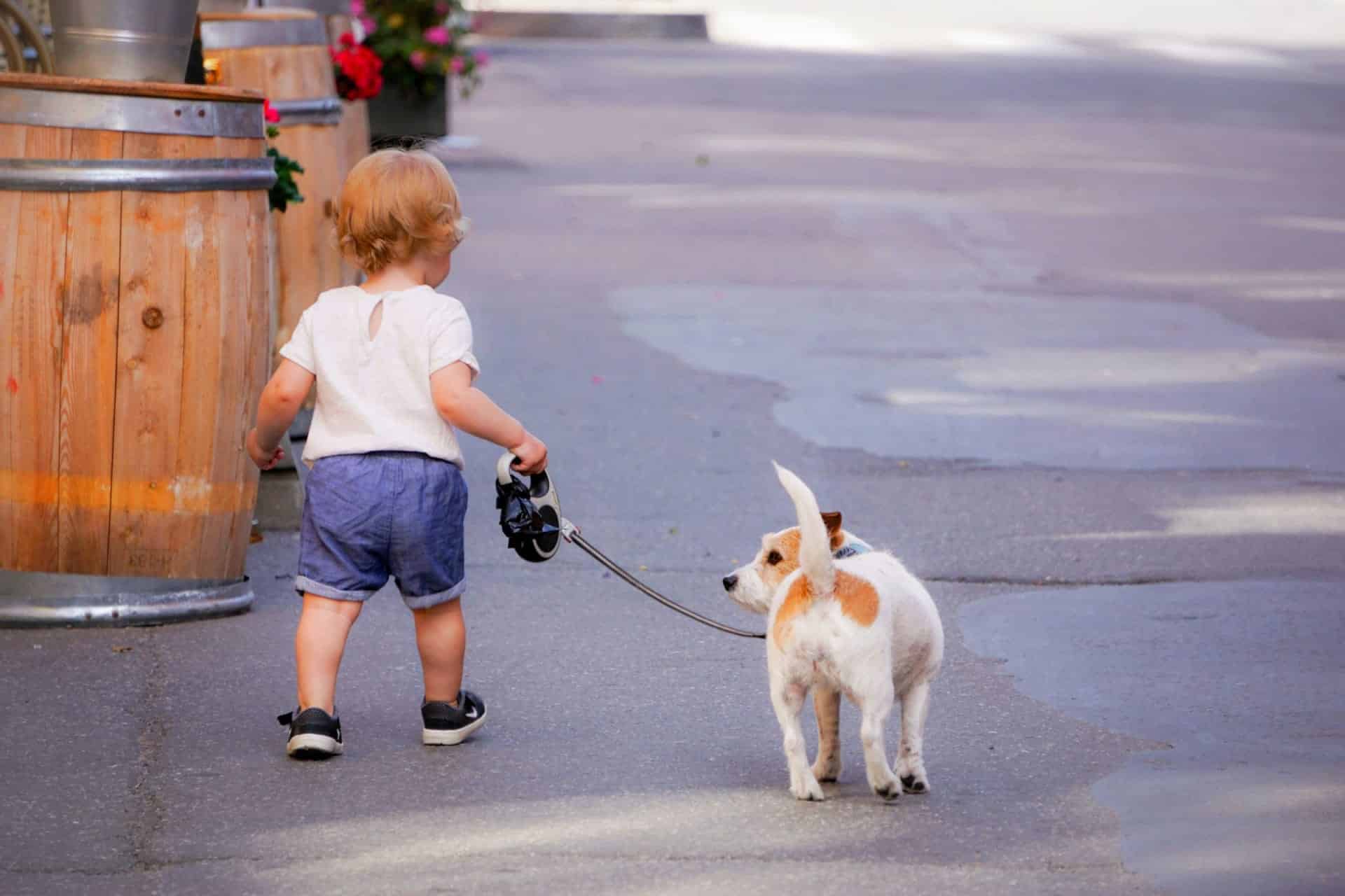 21 dog breeds so good with kids, they’re practically babysitters
