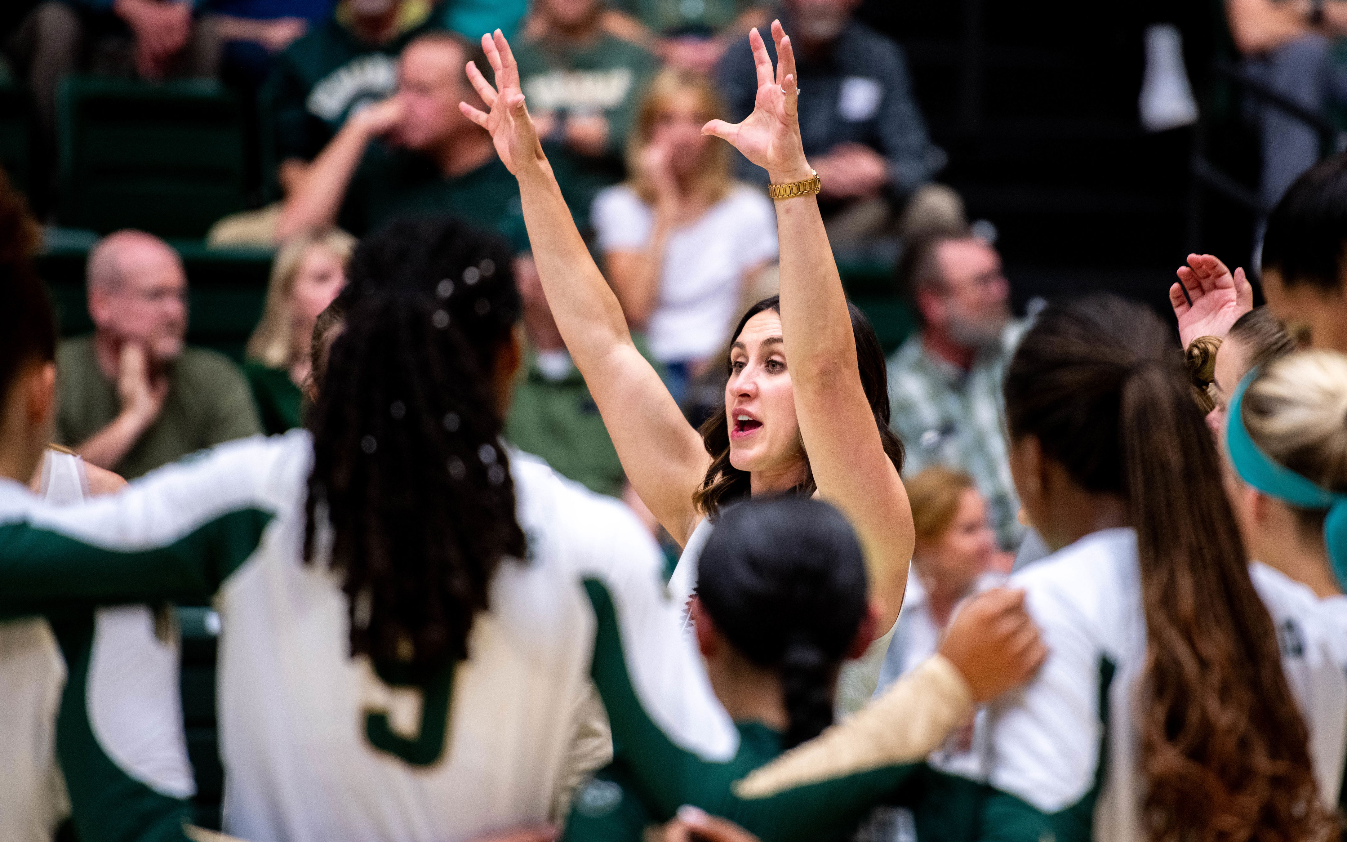 What to know as CSU volleyball opens 50th season chasing final Mountain ...