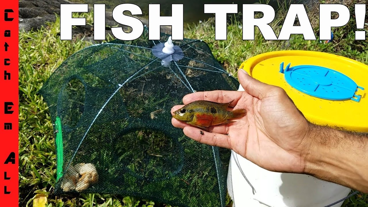 Umbrella Fish Trap Hacks - Hurricane Survival Fishing Tips