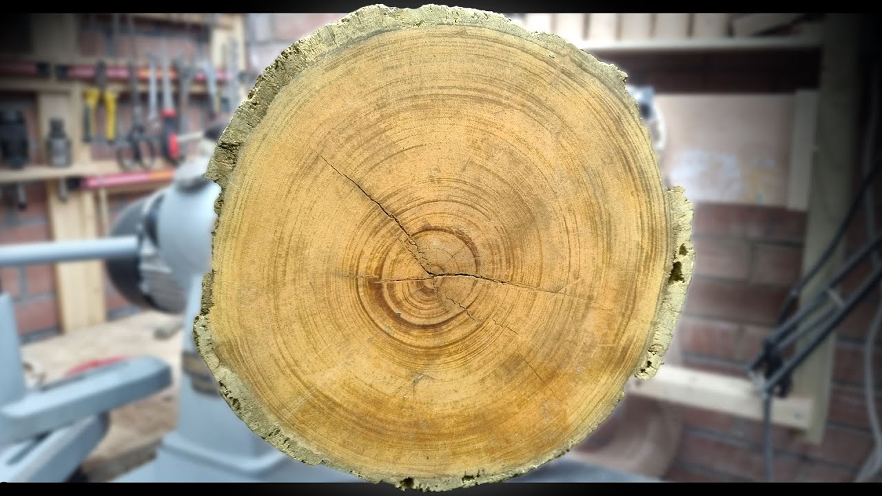 Man Turned A Yellowheart Cookie