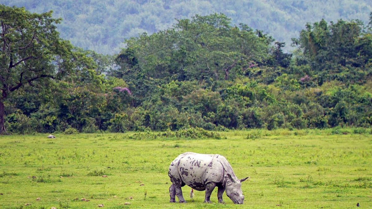 Clearing the air: Scientists find missing link to calculate atmospheric CO2 for climate change ...