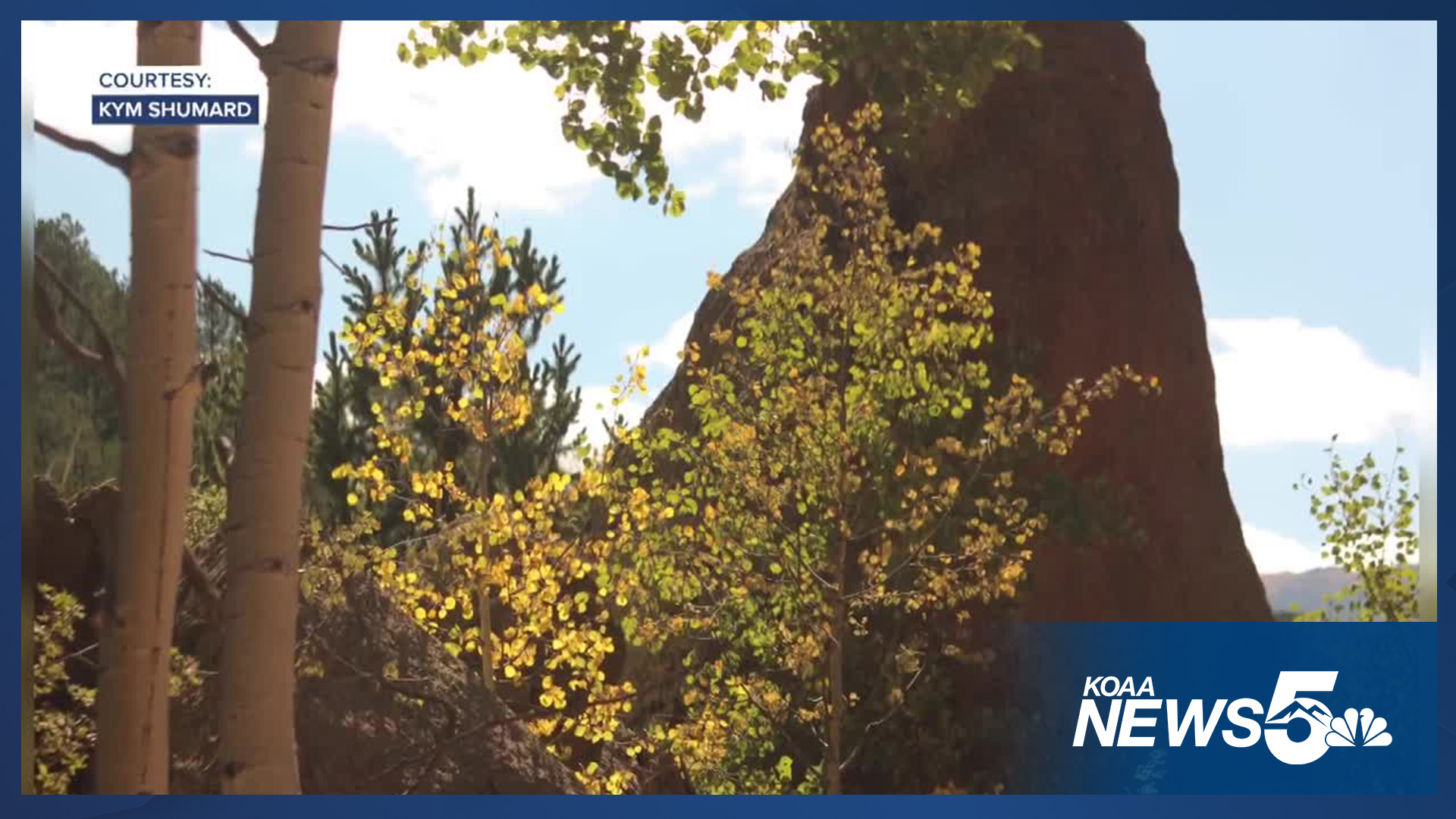 Fall colors are arriving early to Colorado this year and here's why