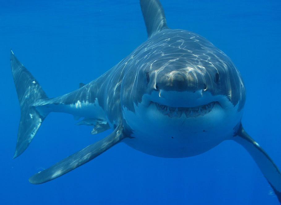 12 Dangerous Places in Movies That Are Harmless in Real Life