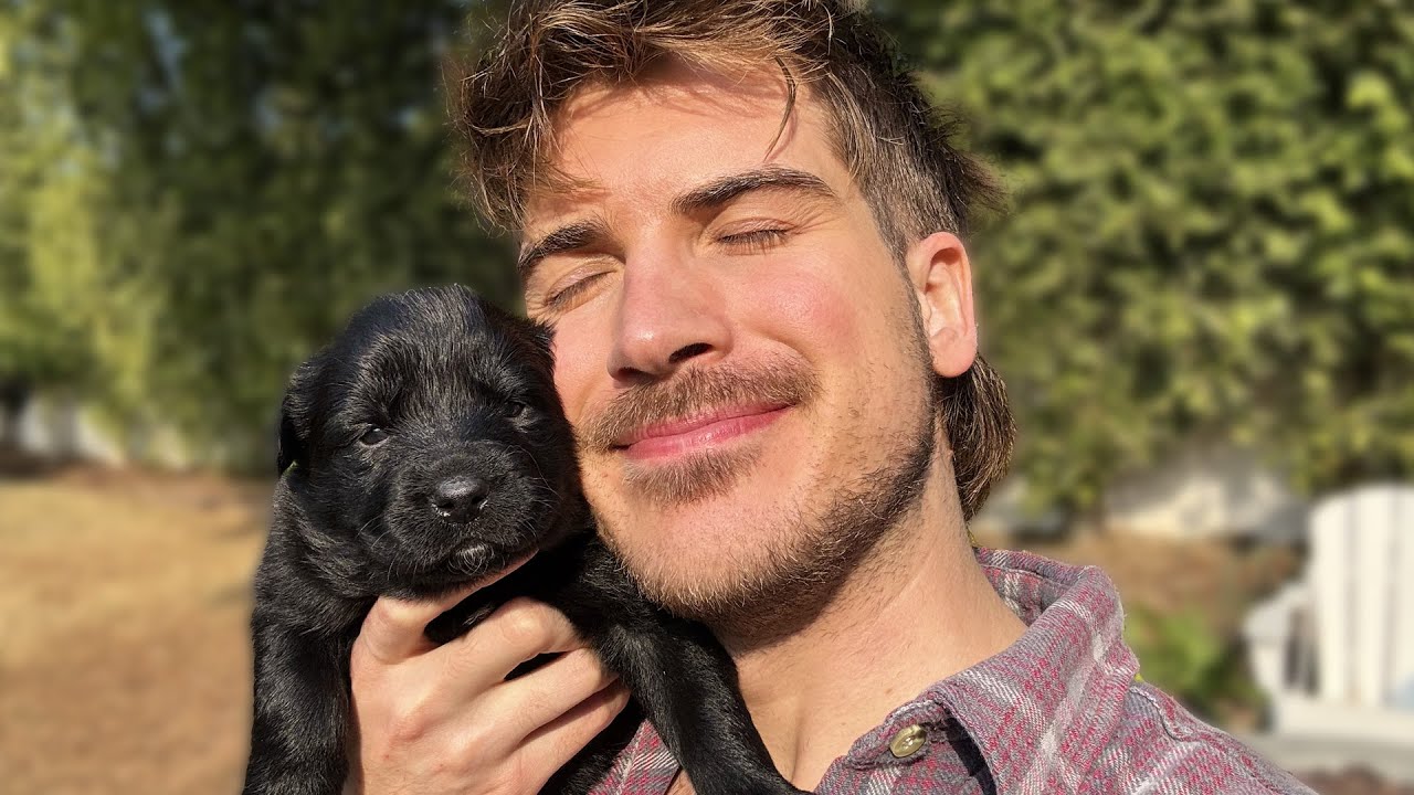 A foster owner falls in love with a special rescue puppy