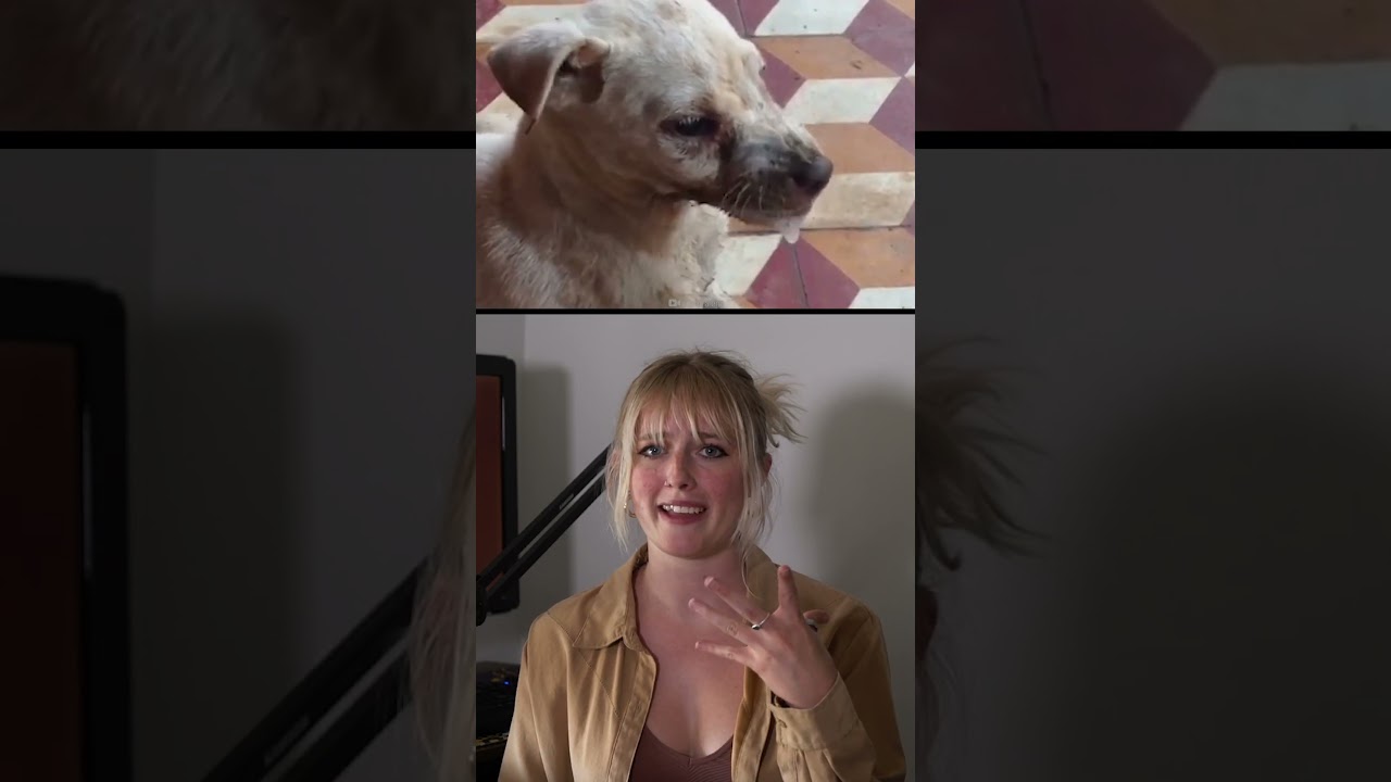 Could you survive a rabid animal attack and what to do