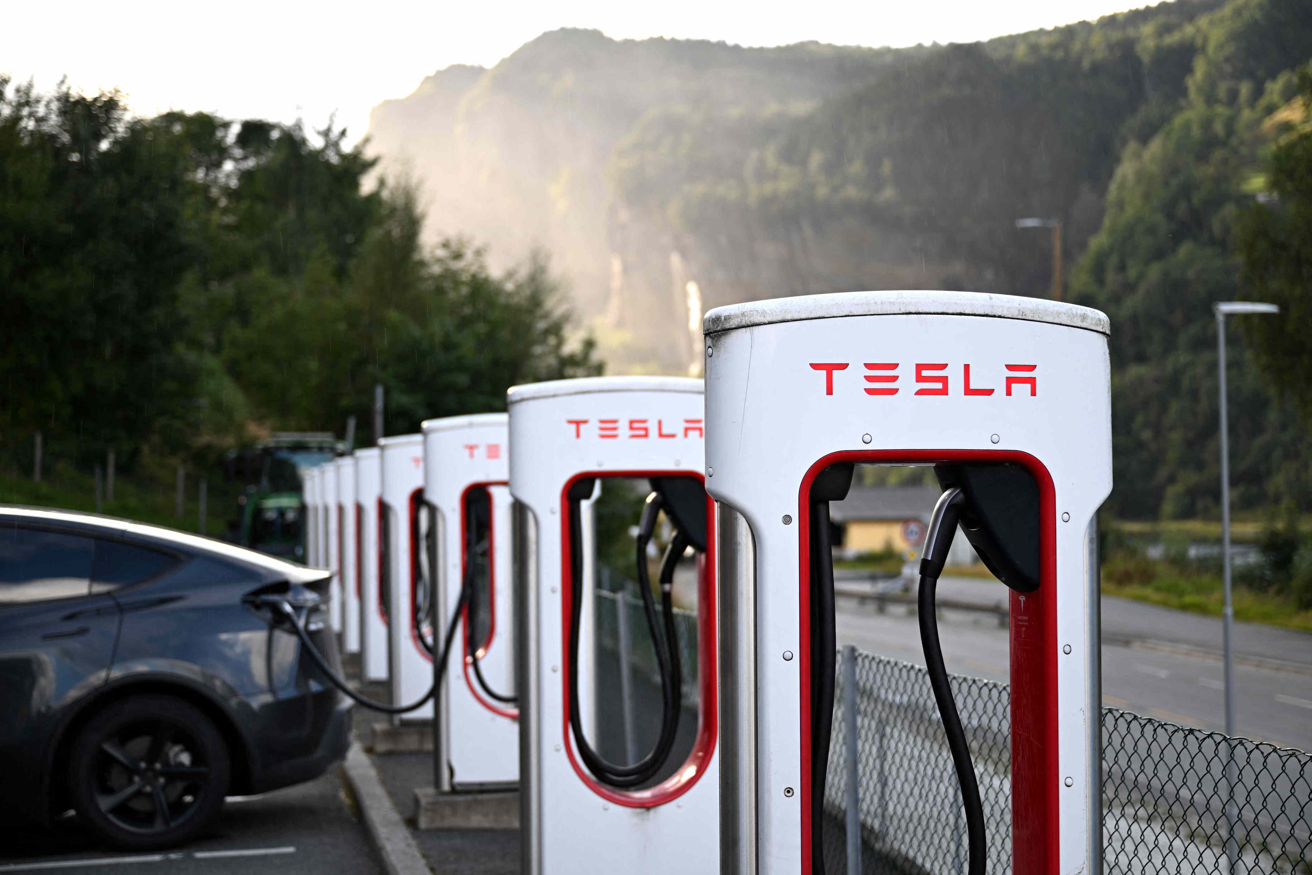 Tesla's EU Sales Fall 42% in July Amid Rising Competition From BYD