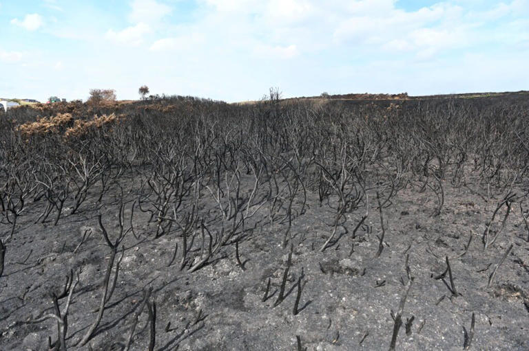 More than a dozen WW2 bombs explode as firemen battle moor blaze