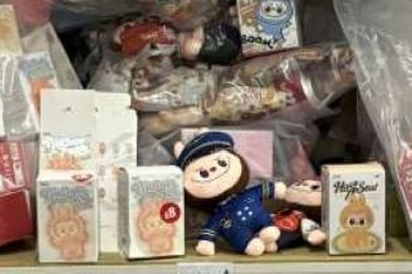 Safety alert as hundreds of fake Labubu dolls are seized in South ...