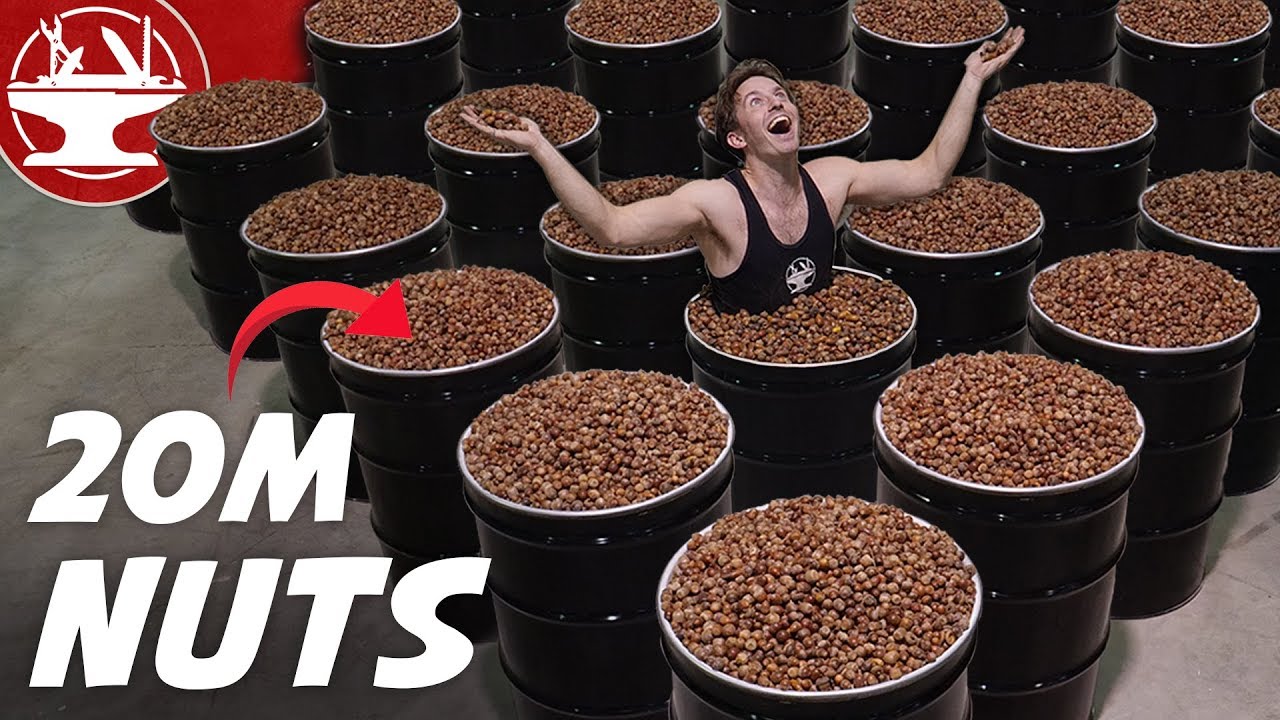 We Took on the 20 Million Tree Challenge - Here’s What Happened