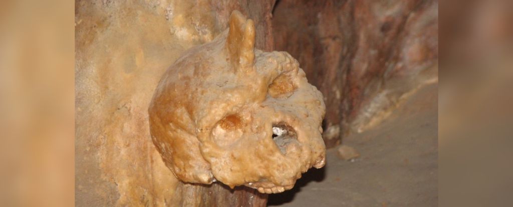 Mysterious Skull Fused to Cave Wall Could Belong to a Rare Human Species