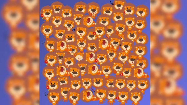 Optical Illusion: Only 1 in 10 people can find the hidden fox among ...