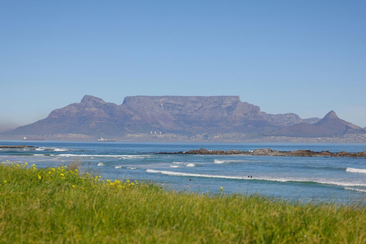 Exploring Cape Town’s forests: Tokai