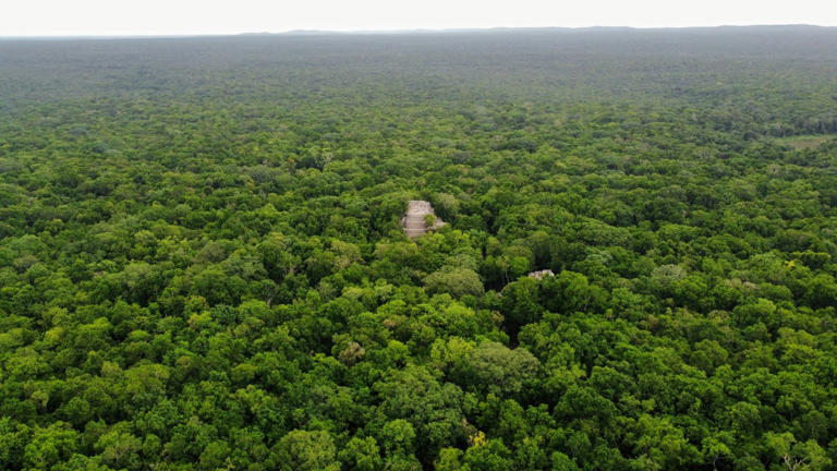 Hidden pyramids uncovered under the Amazon rainforest