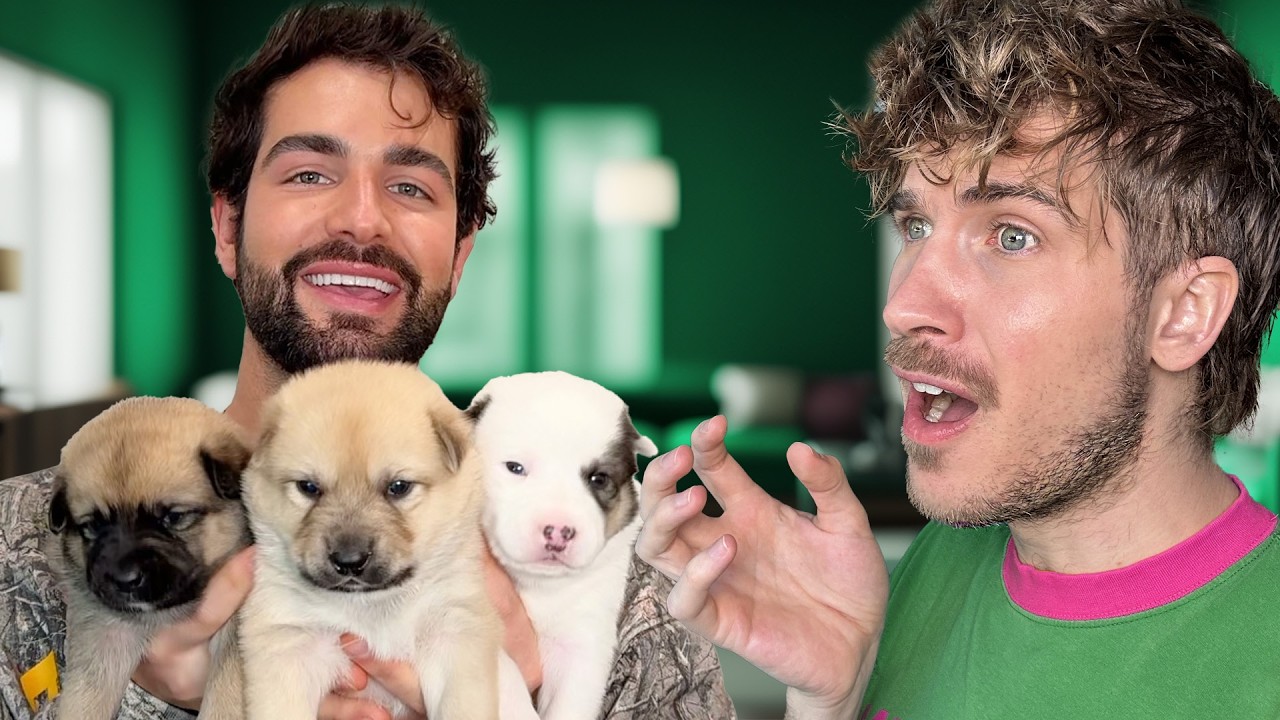 My emotional ex boyfriend wants to adopt one little puppy