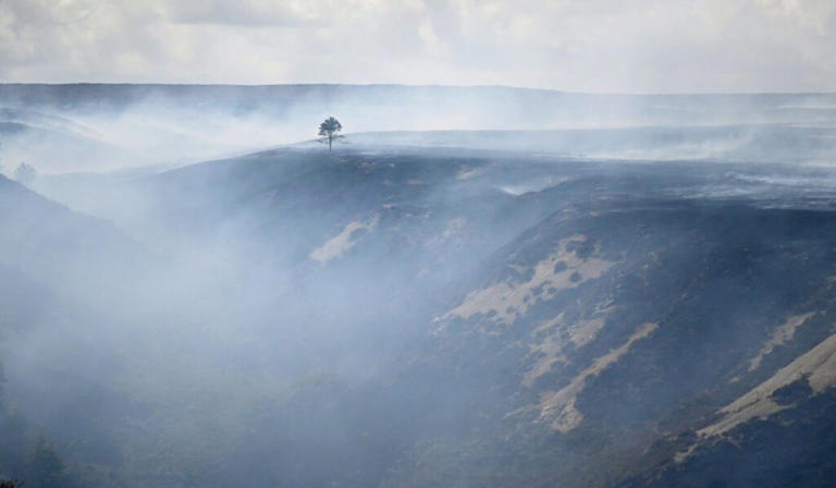 More than a dozen WW2 bombs explode as firemen battle moor blaze