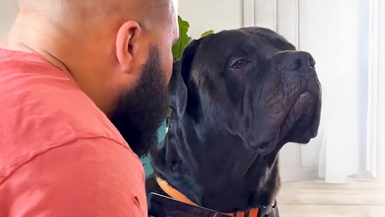 Silly dog makes every moment with his best friend joyful