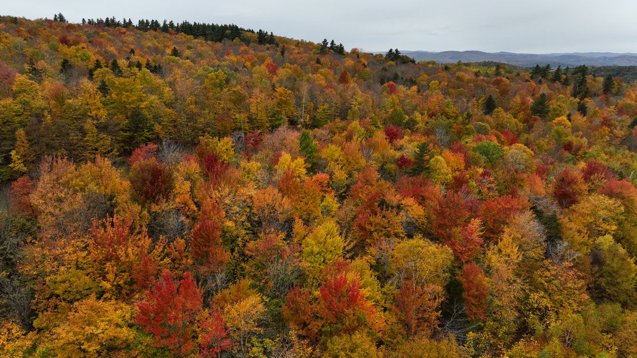 Fall Foliage 2025: When The Colorful Display Peaks In The United States