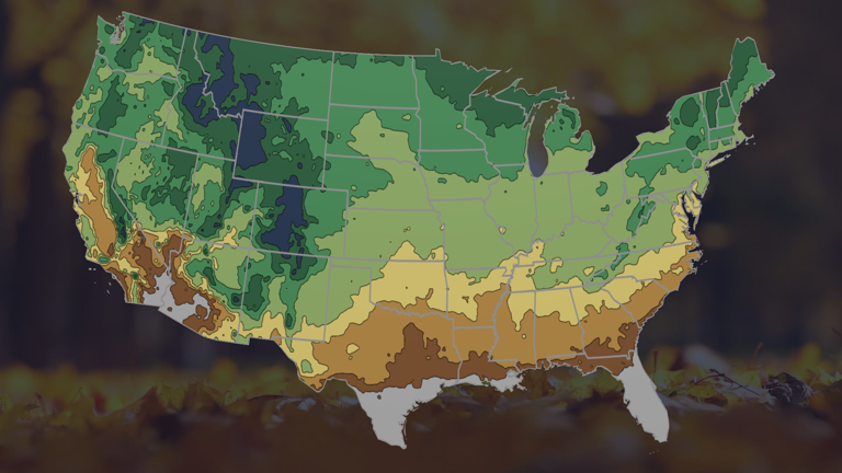 Peak Fall Foliage Colors: When The Colorful Display Peaks In The United ...
