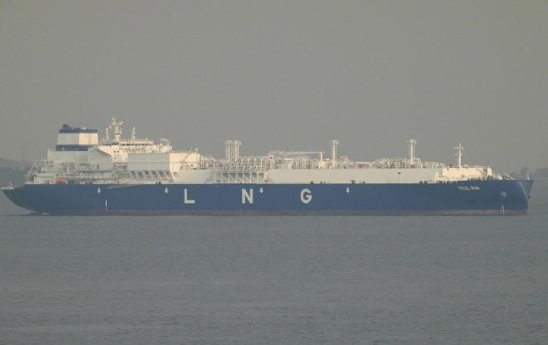 Moscow finds buyer for its sanctioned gas