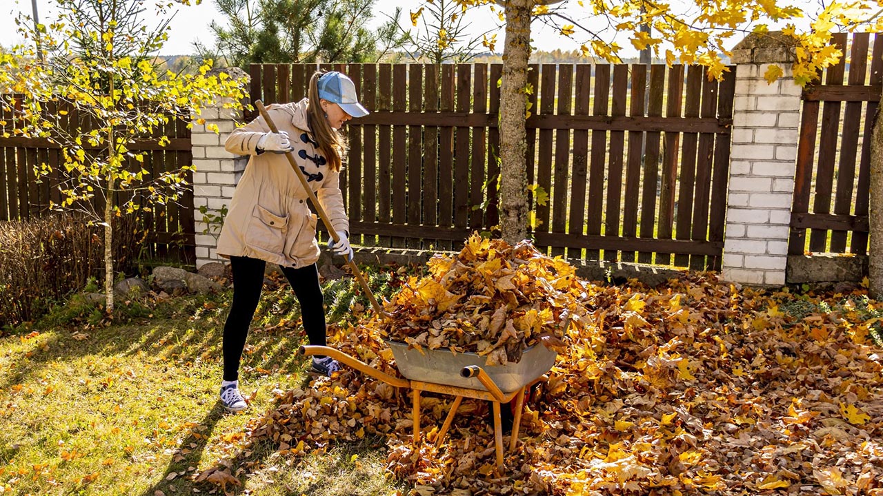 11 Reasons You Shouldn't Throw Away Your Raked Leaves