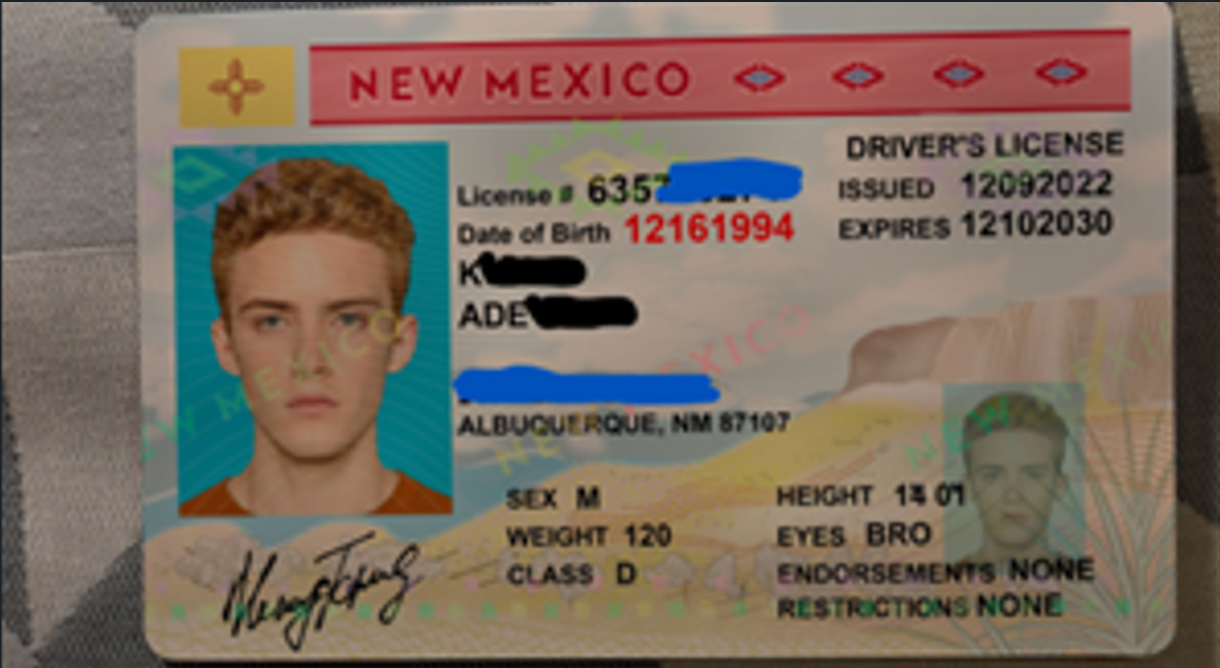 U.S. Attorney seizes website selling fake New Mexico driver's licenses