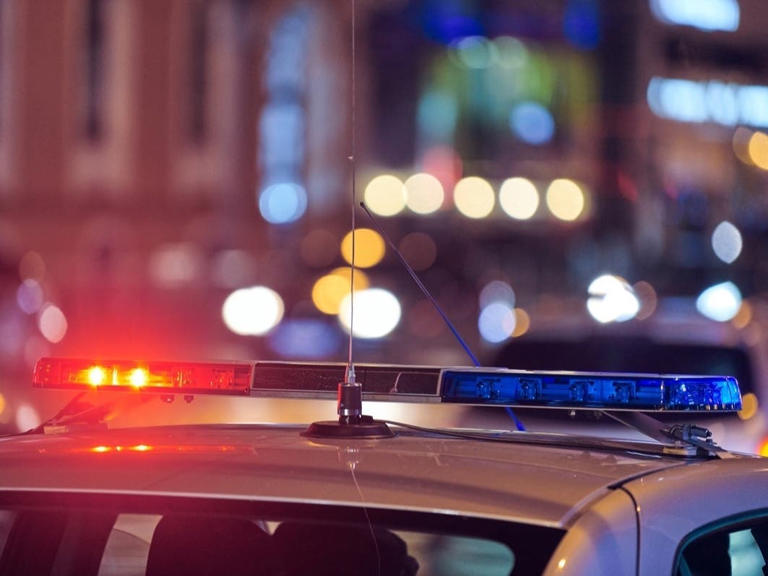 Girl In Diaper Found By LA County Deputies Wandering Street Alone With ...