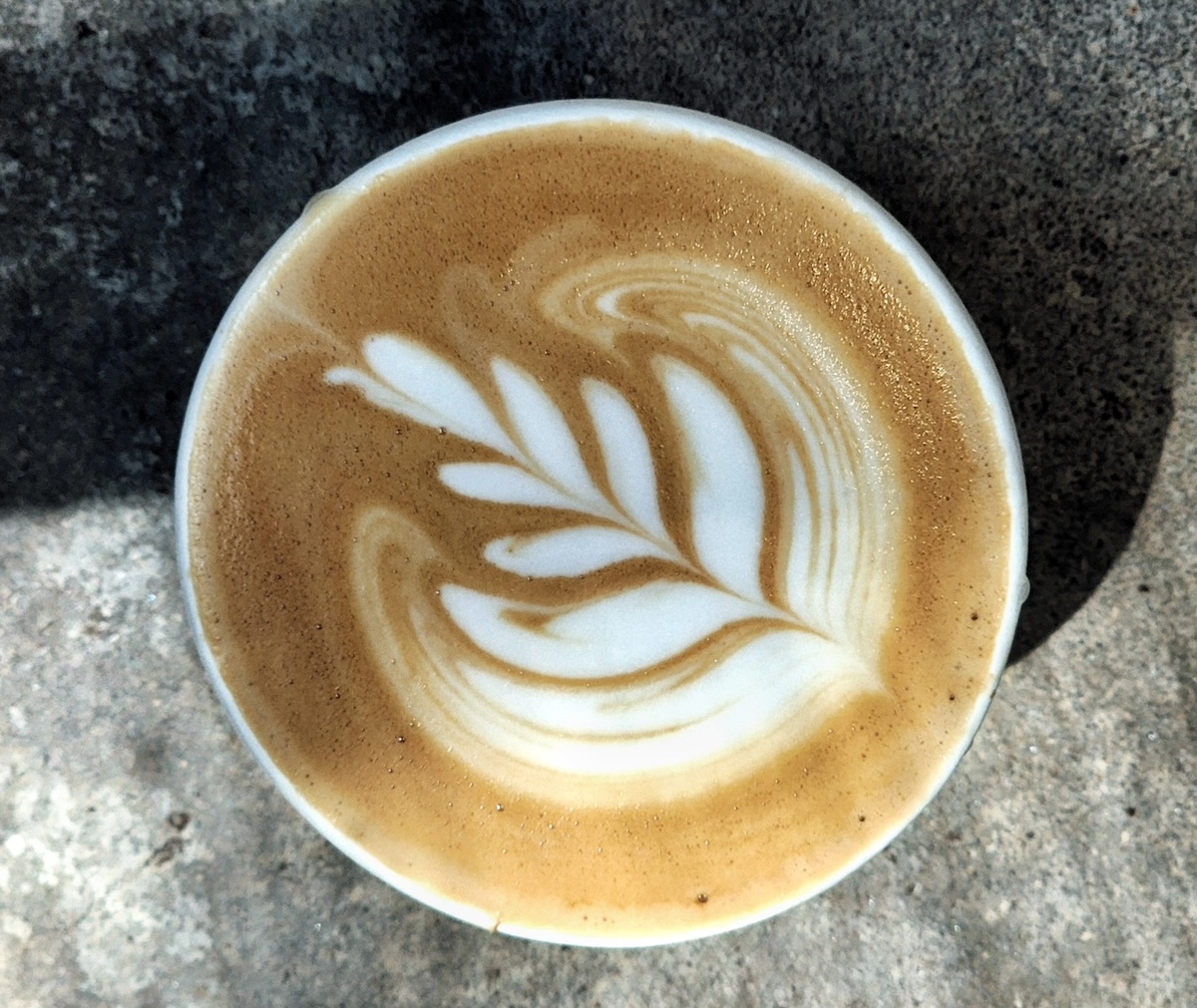 Charleston’s Second State Coffee Prepares Fifth Location in Historic ...