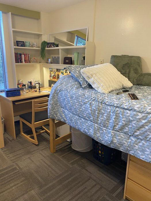 How to decorate a dorm for form and function