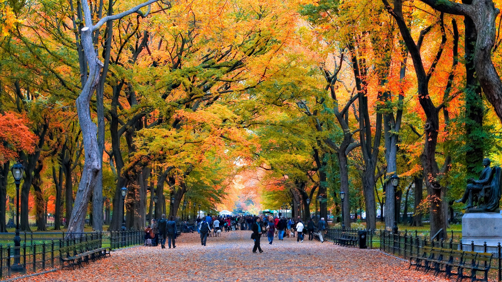 The 20 most-filmed locations around the world (and why Hollywood loves ...