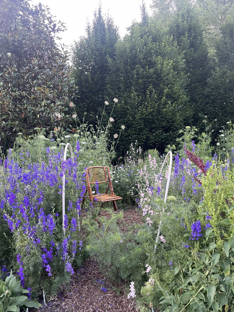 9 Flowers to Plant NOW for a Gorgeous Spring Cutting Garden