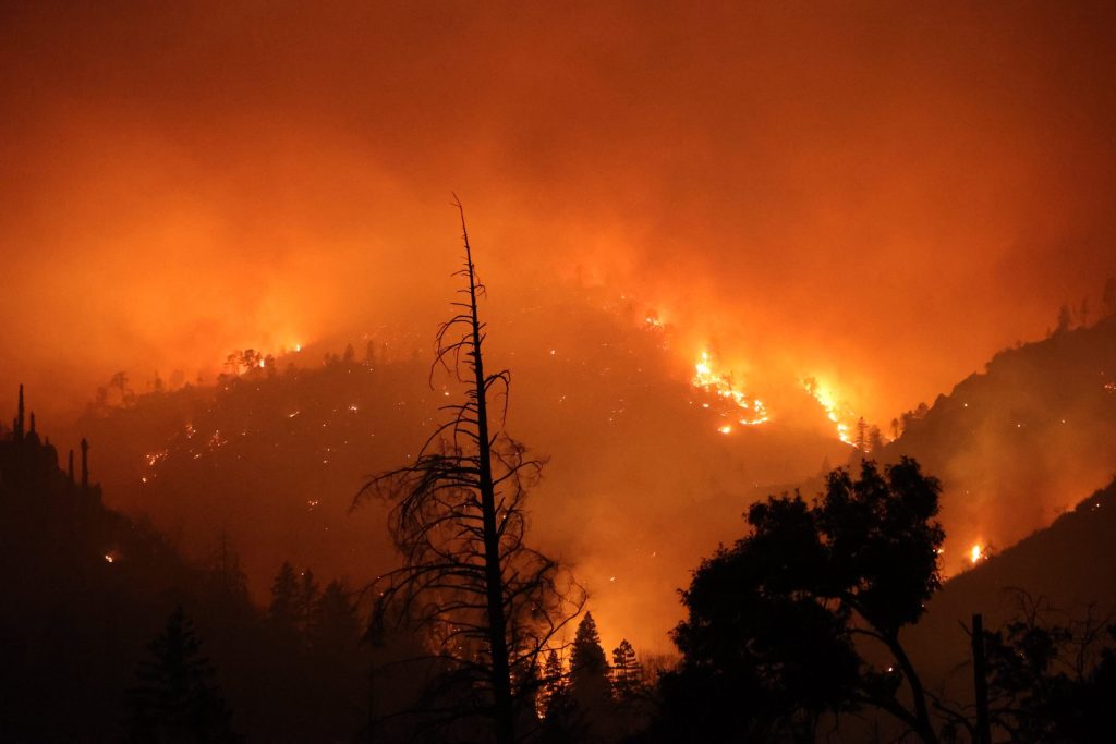 Pickett Fire could cost an estimated $65M in damage to vintners and ...