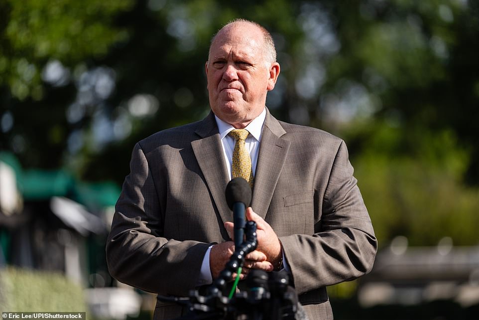 Homan says ICE 'ramping up' operations in several cities