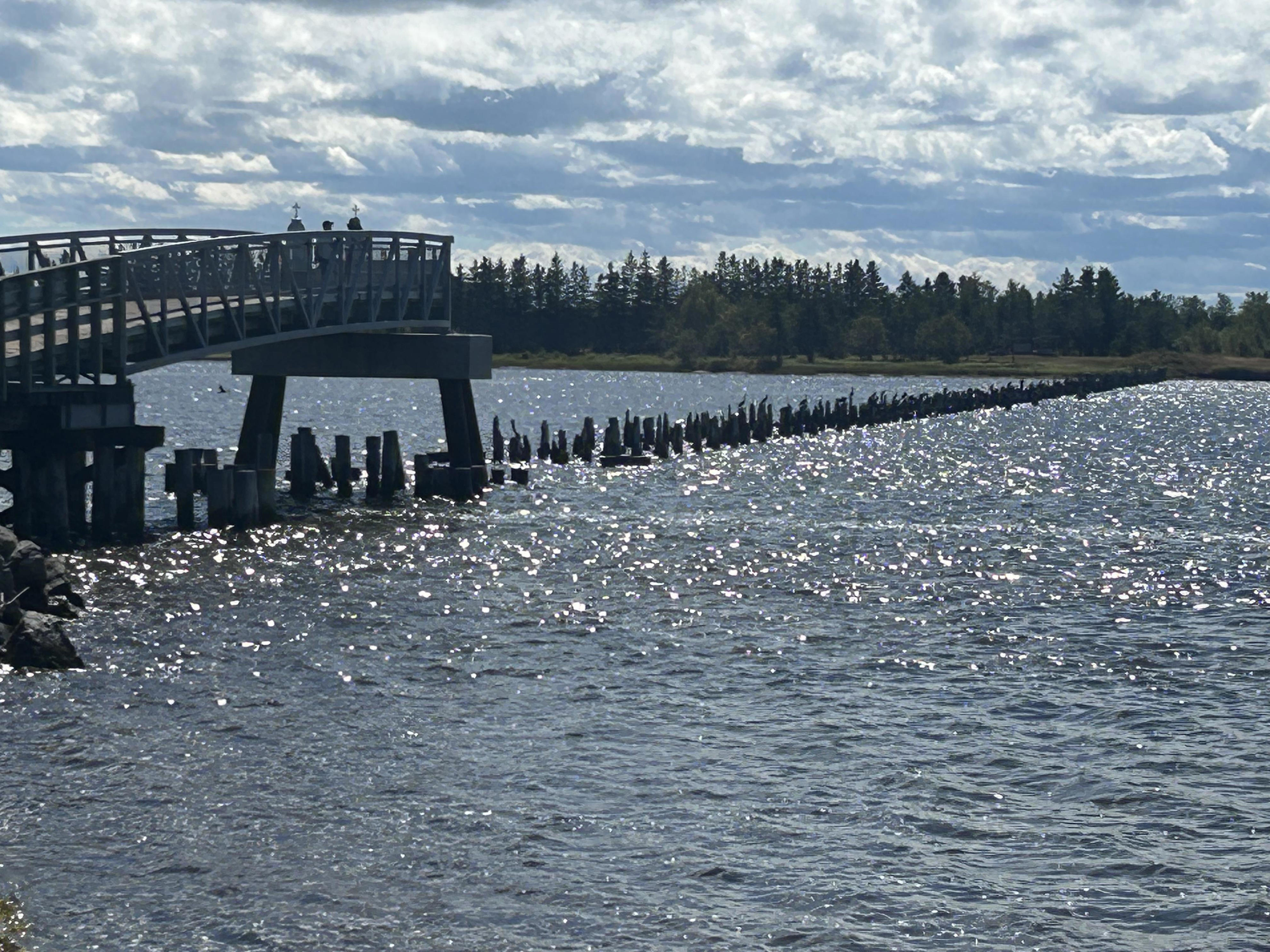 Pont d’Inkerman : la CSRPA s’empare du projet désormais évalué à 18 ...