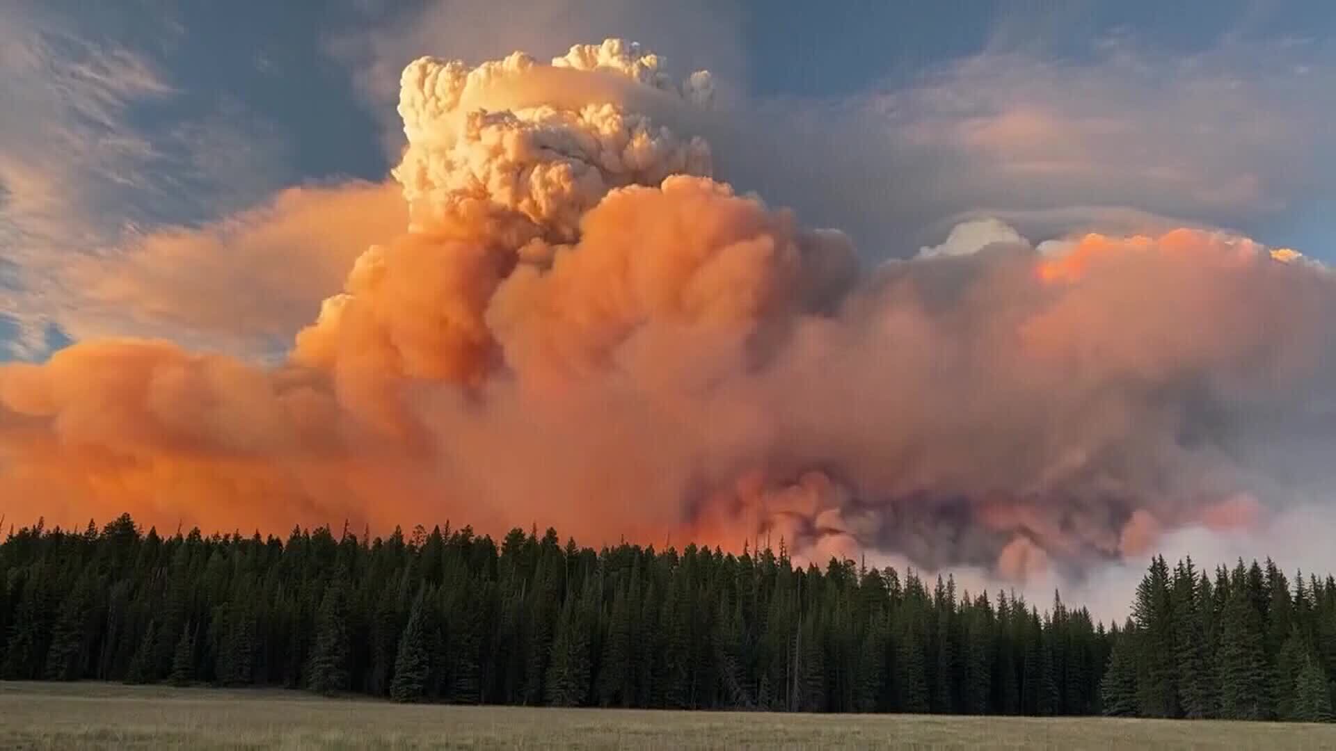 Parts of SR 67, Kaibab National Forest reopen weeks after Dragon Bravo Fire