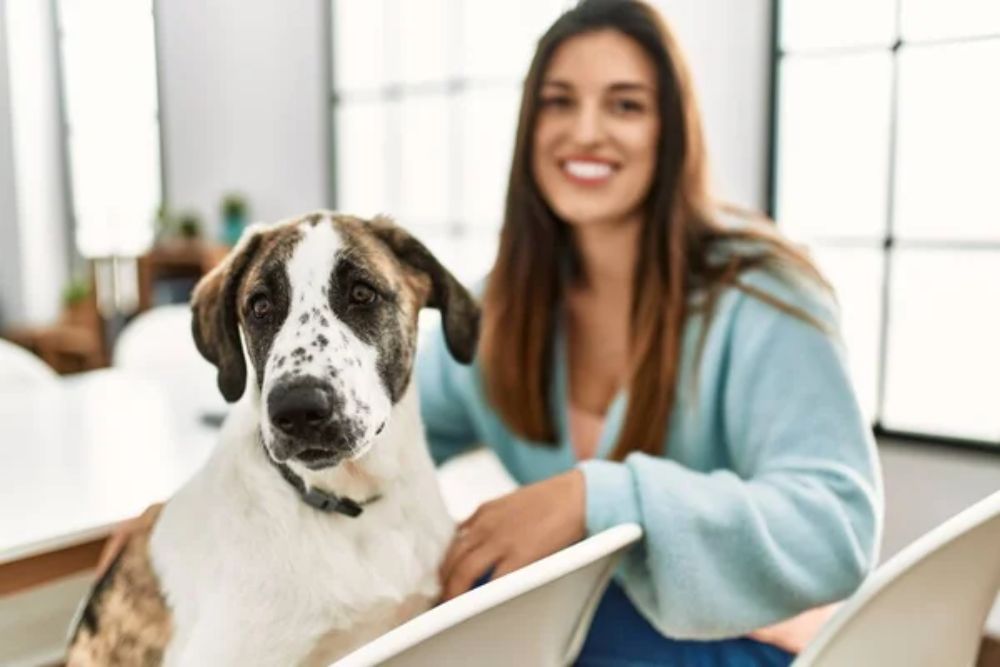 16 Questions to Ask Before Getting a Pet