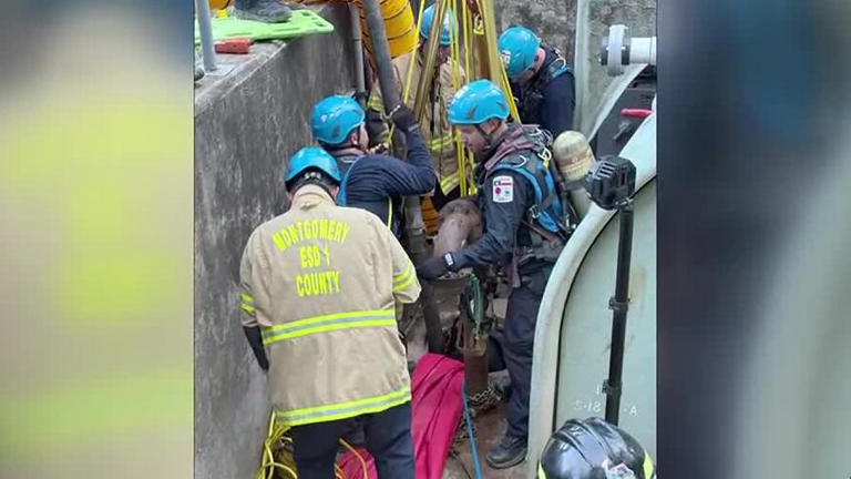 Sheriff’s office releases names of men who died from toxic gas in ...