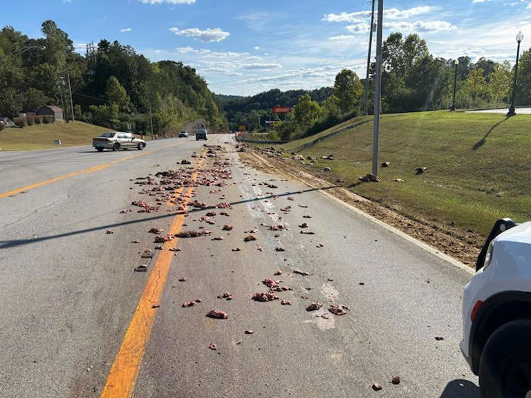 Truck hauling ‘animal parts’ leaves gruesome spill on Kentucky highway