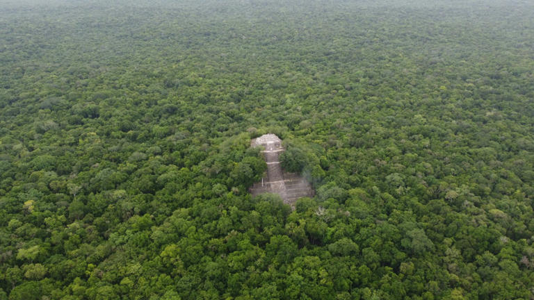 Hidden pyramids uncovered under the Amazon rainforest