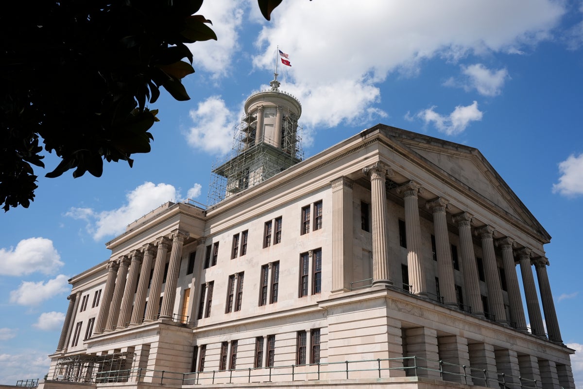 Tennessee appeals ruling against 2 gun laws, saying it caused ...