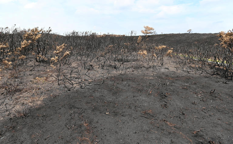 Exploding WW2 bombs hamper fight against huge wildfire on North York Moors