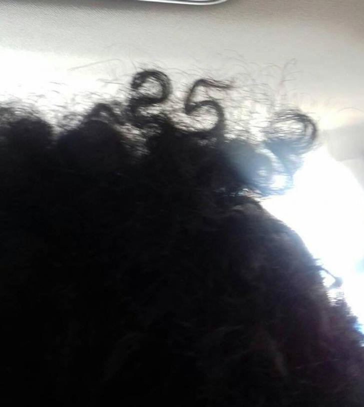 18 Photos With Coincidences That Are Too Good to Be True