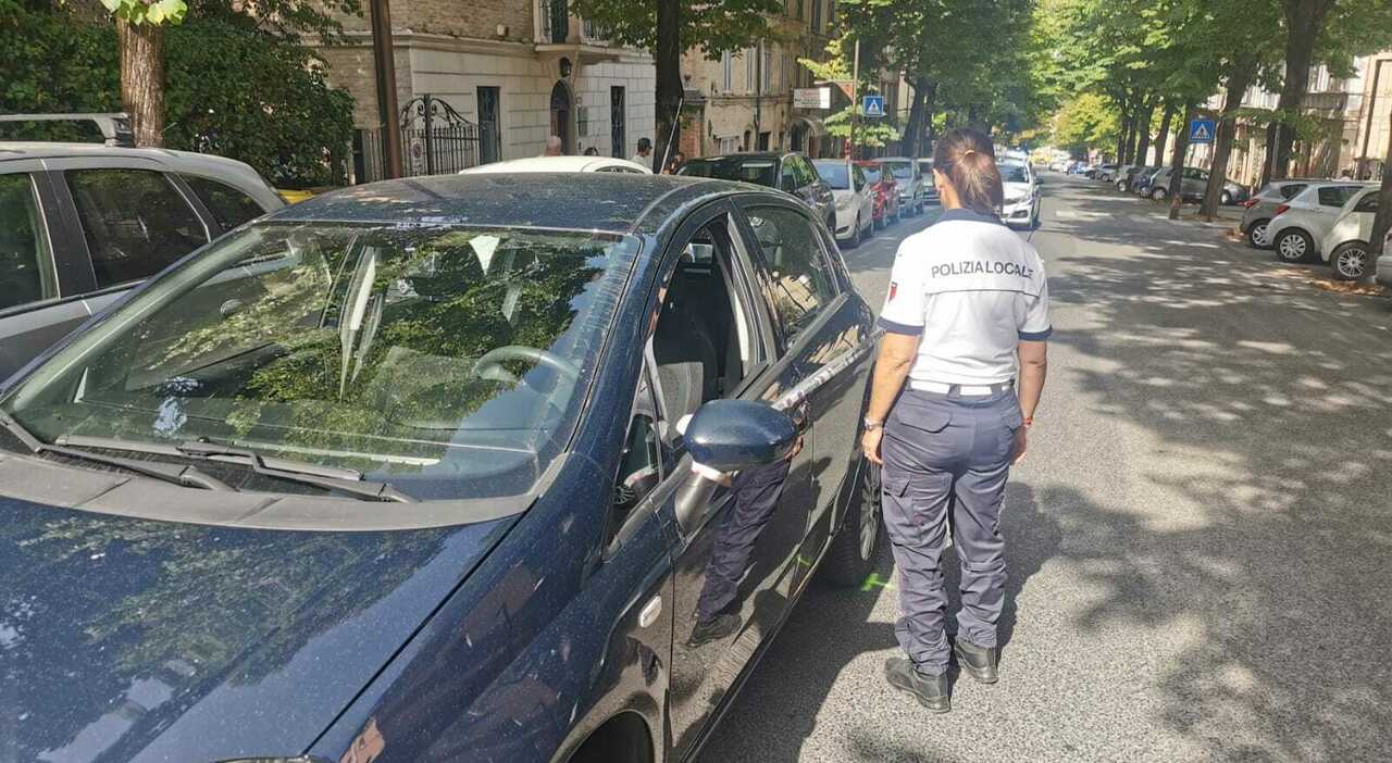 Macerata, parcheggia, scende e viene travolto da un'auto: resta ...