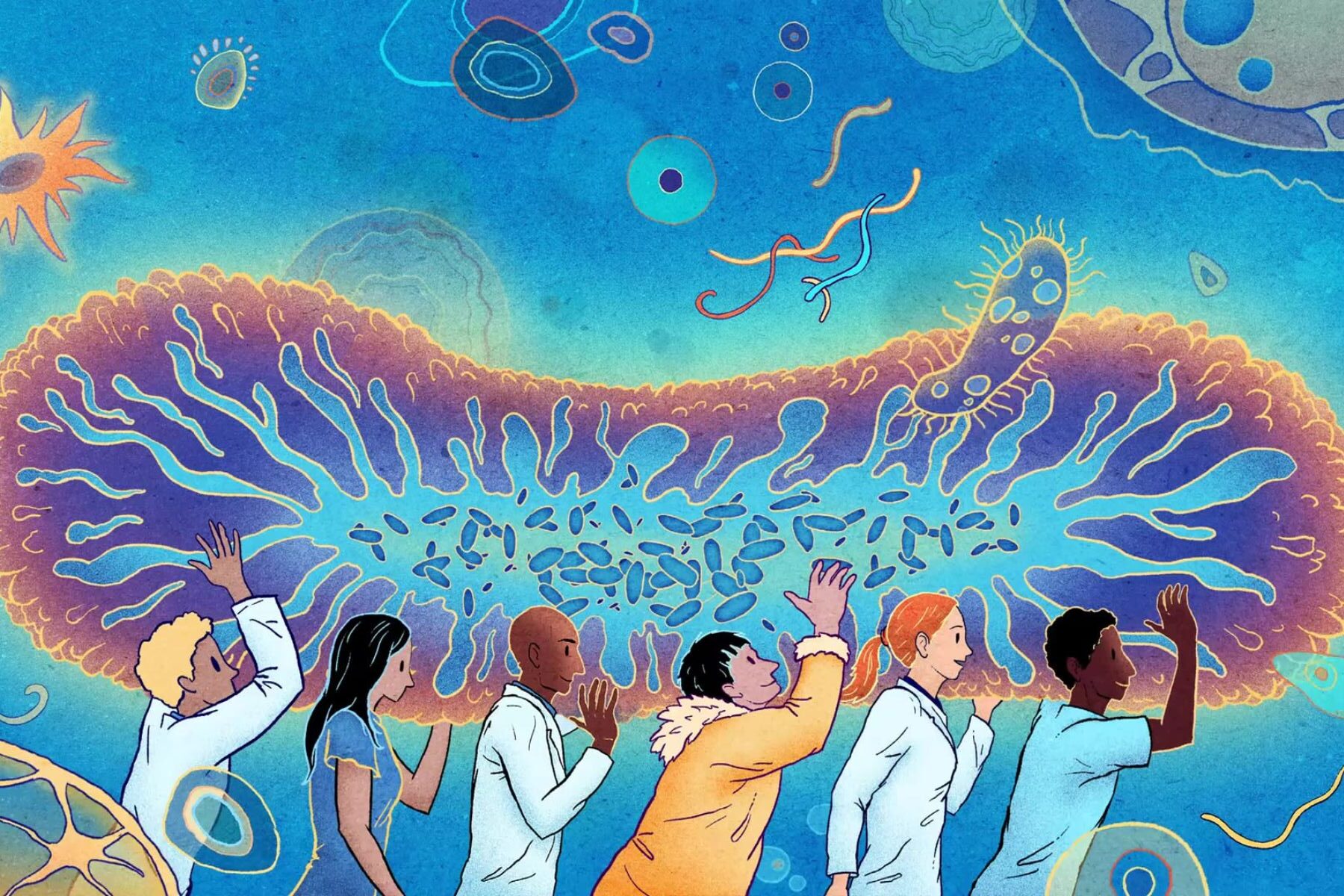 The Dietitians Guide to a GI-MAP Test