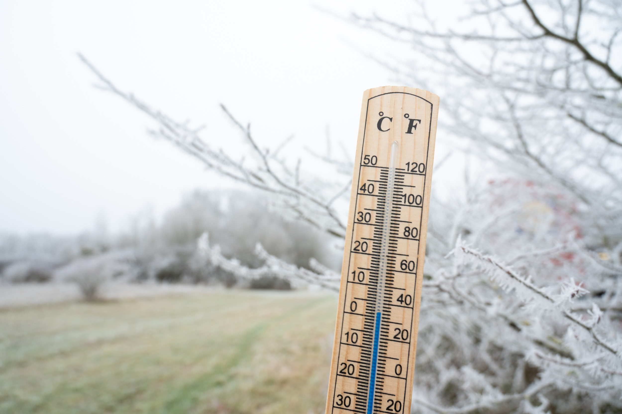 Warning issued as summer temperatures dip near freezing in 2 states