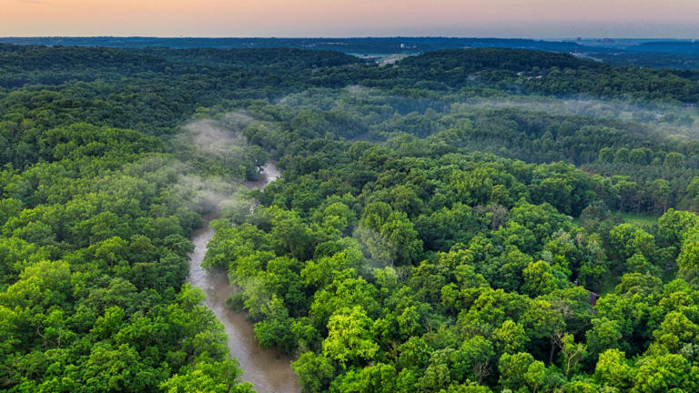 Hidden pyramids uncovered under the Amazon rainforest