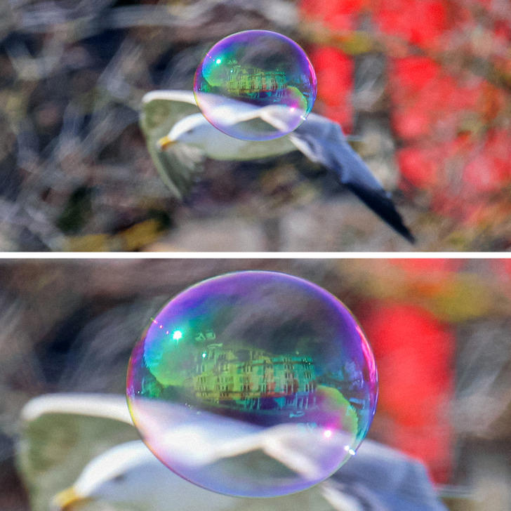 18 Photos With Coincidences That Are Too Good to Be True