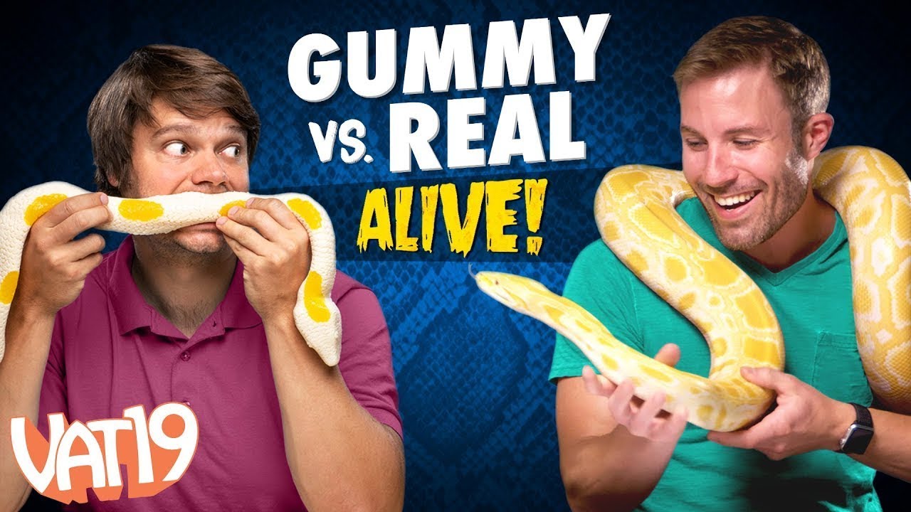 Gummy candy vs real animals!