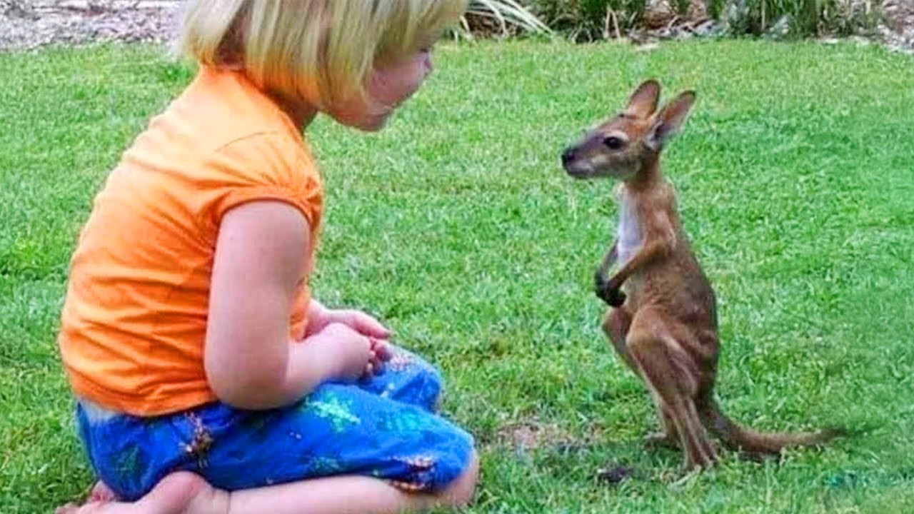 Kids and animals have the most adorable conversations