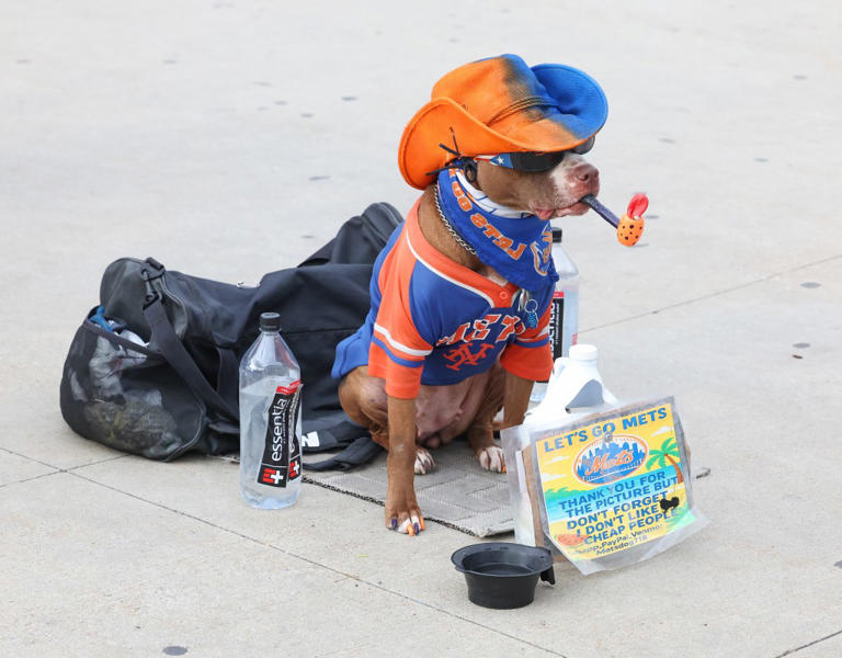 NYC protesters renew outrage over alleged abuse of pipe-smoking Mets ...