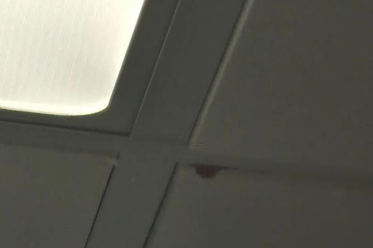 Pictures show 'disgusting' moment blood drips from ceiling of Welsh ...